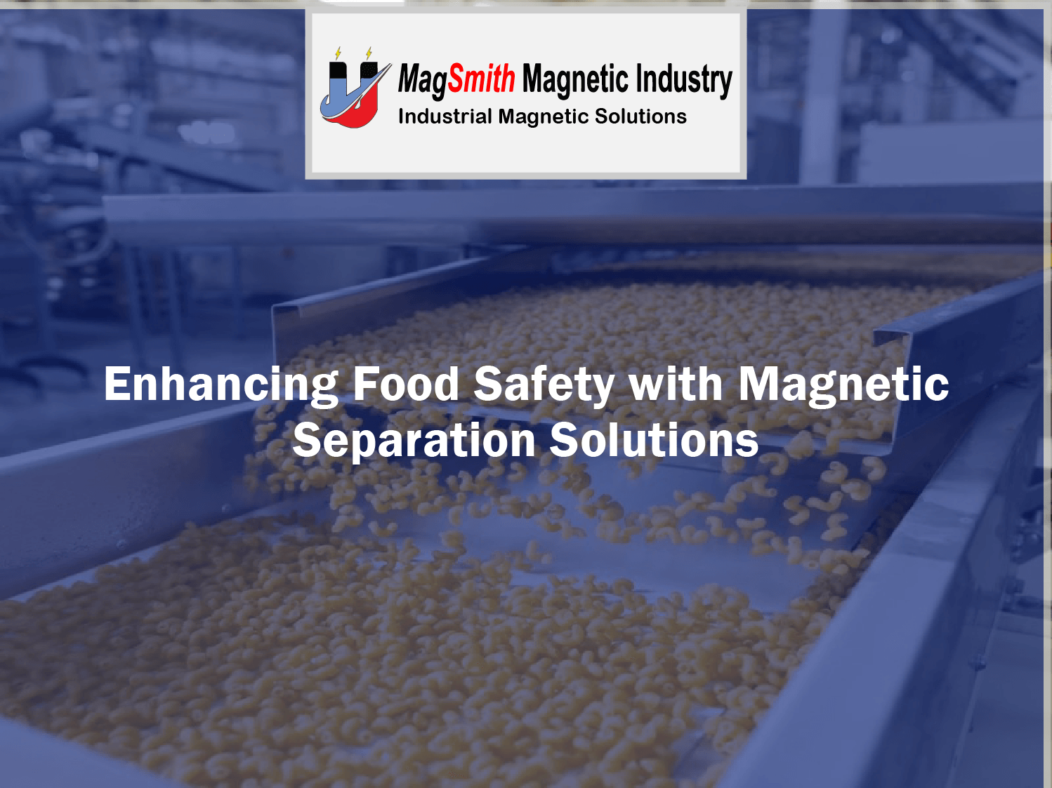 Magnetic Separation for Food Safety:Enhancing Quality | MagSmith