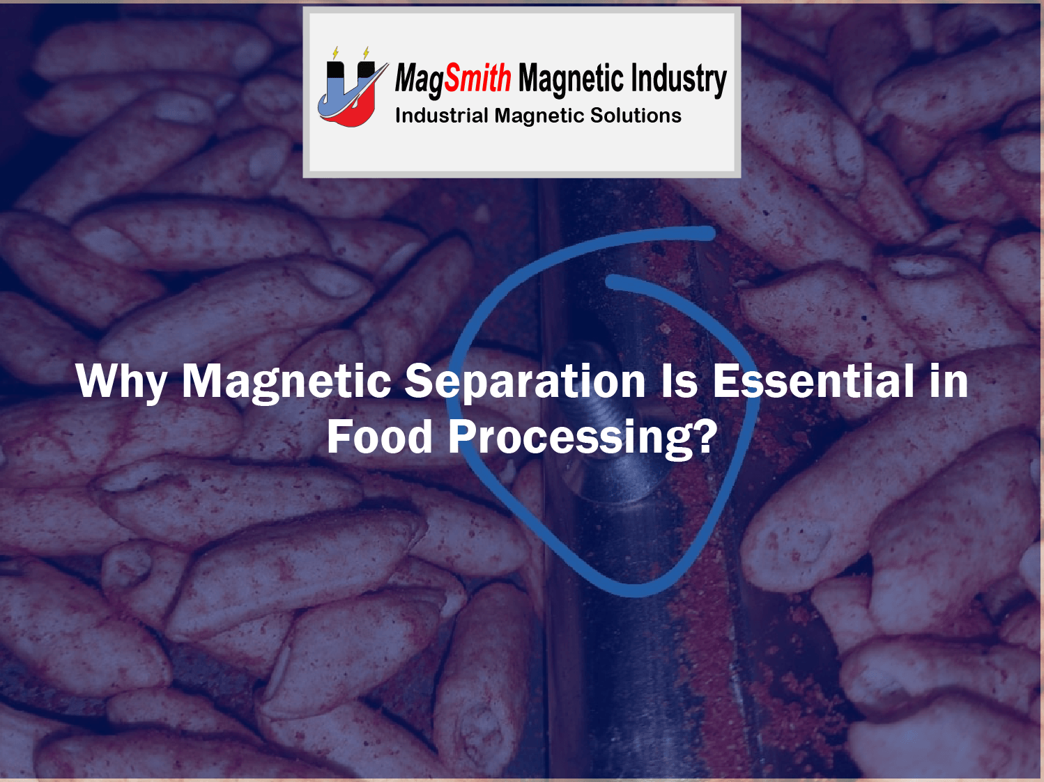 Ensuring Food Safety and Quality in Processing | MagSmith